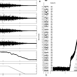 High-threshold motor unit firing reflects force recovery following a ...