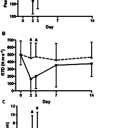 High-threshold motor unit firing reflects force recovery following a ...
