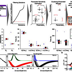 Comparison of FlowMax to the Cyton Calculator.