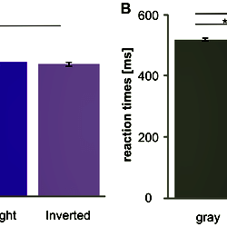 Effect of context on object categorization.