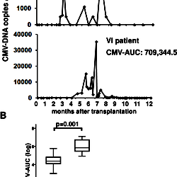 CMV-DNA copy number in VR and VI patients during the follow-up period ...