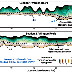 Coral reef cross-sections.