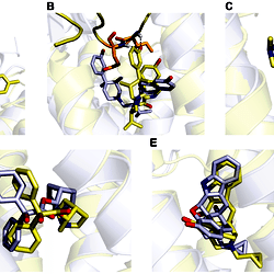 Structural representations of ligand binding modes compared to ...