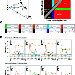 In silico modeling of the individual response of 4 patients to either ...