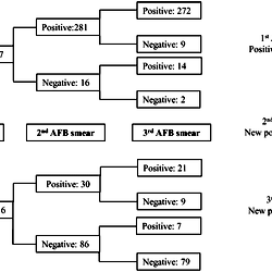 Flow chart for the results of smear examination.