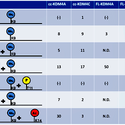 Summary of the enzymes, substrate modifications and corresponding effects.