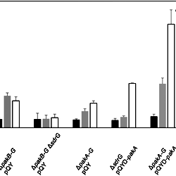 SdrG is important for stress induction of GSR.