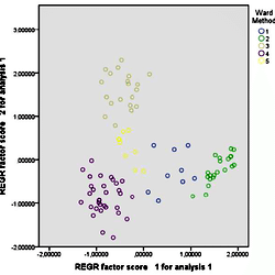 Scatterplot of the five-cluster solution.