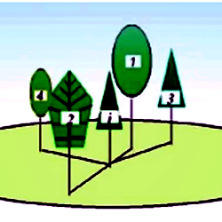 The structural unit.