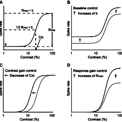 Naka-Rushton function and the three possible types of gain control in ...