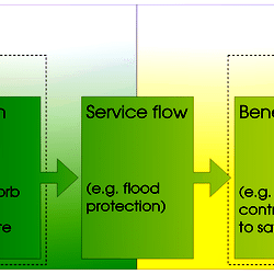 Illustration of the cascade model framed within the natural and socio ...