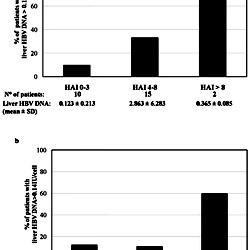 Liver HBV DNA according to the HAI score (a) and fibrosis score (b).