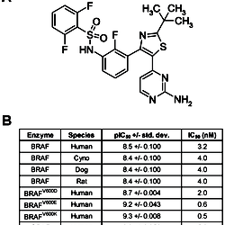 Dabrafenib structure and activity against RAF kinases.