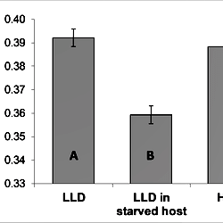 Mean average hind tibia lengths.