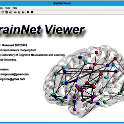 The main window of BrainNet Viewer.