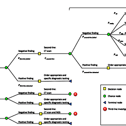 Decision tree representing the conventional diagnostic workflow for PUO ...
