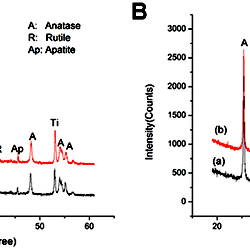 XRD spectra of the titanium surfaces after immersion in SBF.