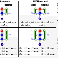 Model predictions when MLP is applied while ignoring the covariance ...
