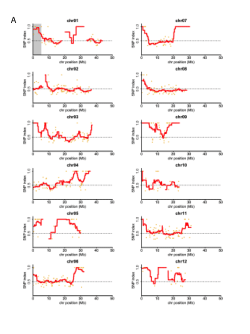 MutMap+: Genetic Mapping and Mutant Identification without Crossing in Rice