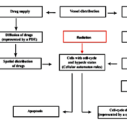 Schematic diagram of the model showing the appropriate scales involved.
