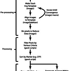 Schematic of workflow in PAR method.