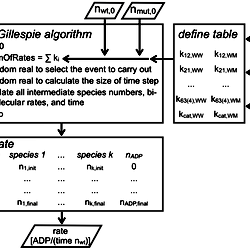 Flow chart of simulation.