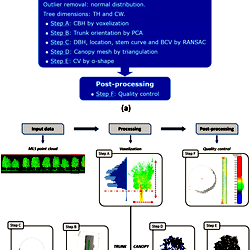 Workflow of the methodology for structural tree parameter extraction ...