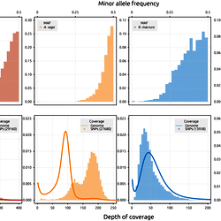 Distributions of MAF and read coverage.