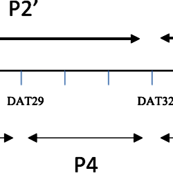 Establishment of data sets.