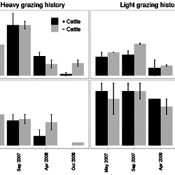 Percentage cover (mean ± SE) of the herb Ptilotus polystachyus and the ...