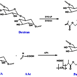 Schematic of derivatization of dextran and the free-radical mediated ...