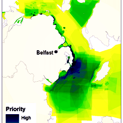 Map of the spatial access priorities of the Northern Irish fishing fleet.
