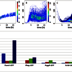 Heatmap plots created using the R script in Figure 2.