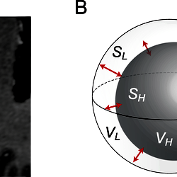 Dose gradient curve: A new tool for evaluating dose gradient - Fig 1
