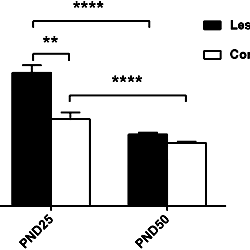 Total cell density in the lesioned area at PND25 and PND50.