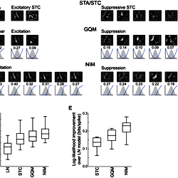 Models of multi-input stimulus processing in a V1 neuron.