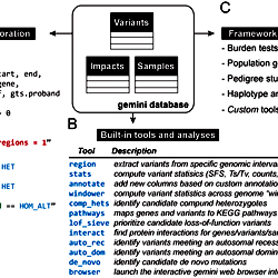 Variant mining and tool development with the GEMINI database framework.