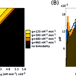 Bimodality as a function of the parameters.