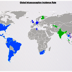 Global map of intussusception incidence.