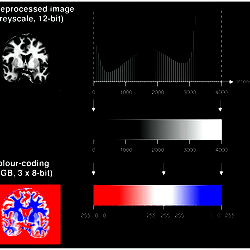 Schematic representation of the colour-coding procedure.
