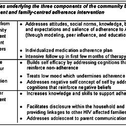 Three components of the community based intervention.
