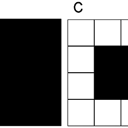Schematic representation of the sampling units used to survey adults ...