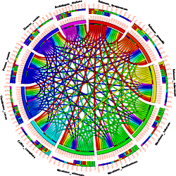 The circos genome visualization map for identifying the similarities ...