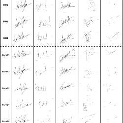 Typical samples that can be found in the Signature Long-Term DB.