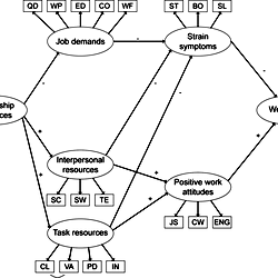 Overview of the study model.