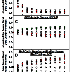 A PKC-MARCKS-PI3K regulatory module links Ca2+ and PIP3 signals at the ...