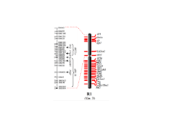 Genetic Dissection of Yield and Its Component Traits Using High-Density Composite Map of Wheat ...
