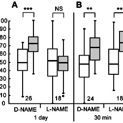 Effects of L-NAME on LTM formation in aversive visual conditioning.