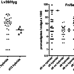Infection levels at time of dissection in P. duboscqi midguts with and ...