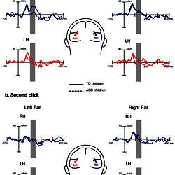 Grand average regional source waveforms obtained for the tangential ...